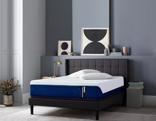 Springtek Dreamer - 3 Layered Medium Firm Orthopedic Mattress | 8 ...