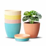 Solimo Indoor and Outdoor Round 5 Inch/12.9cm Flower Planter Pot Best ...