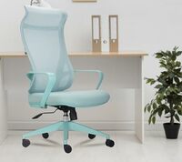INNOWIN Flamingo Ergonomic Office Chair (Mint Green)| 3 Years Warranty ...